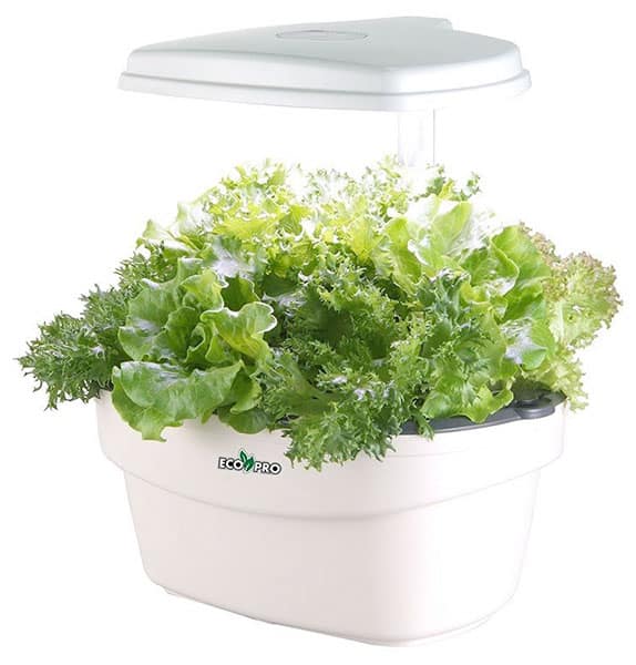 Indoor Hydroponic Herb Garden Systems & Kits - Better Gardener's Guide
