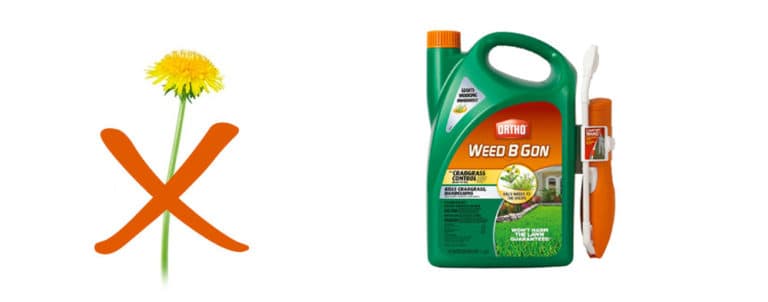 How to Get Rid of Dandelions - Better Gardener's Guide